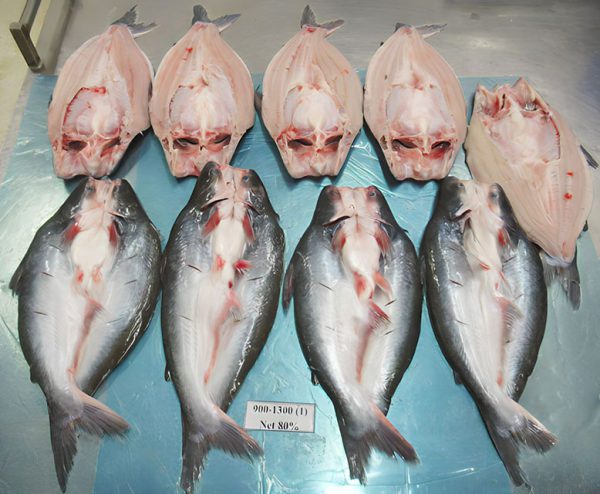 Pangasius Butterfly – FROZEN FOOD CO