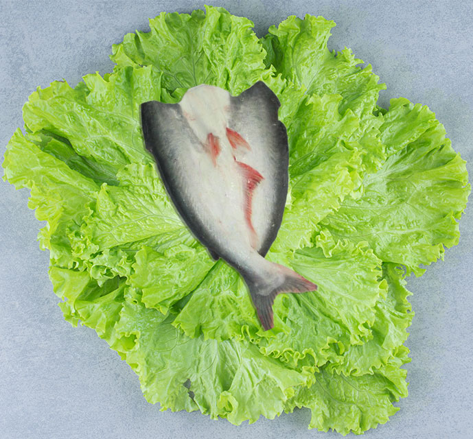 Pangasius Butterfly Headless – FROZEN FOOD CO