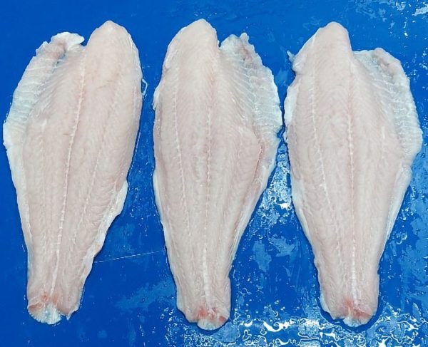 Pangasius Fillet Semi-trimmed – FROZEN FOOD CO